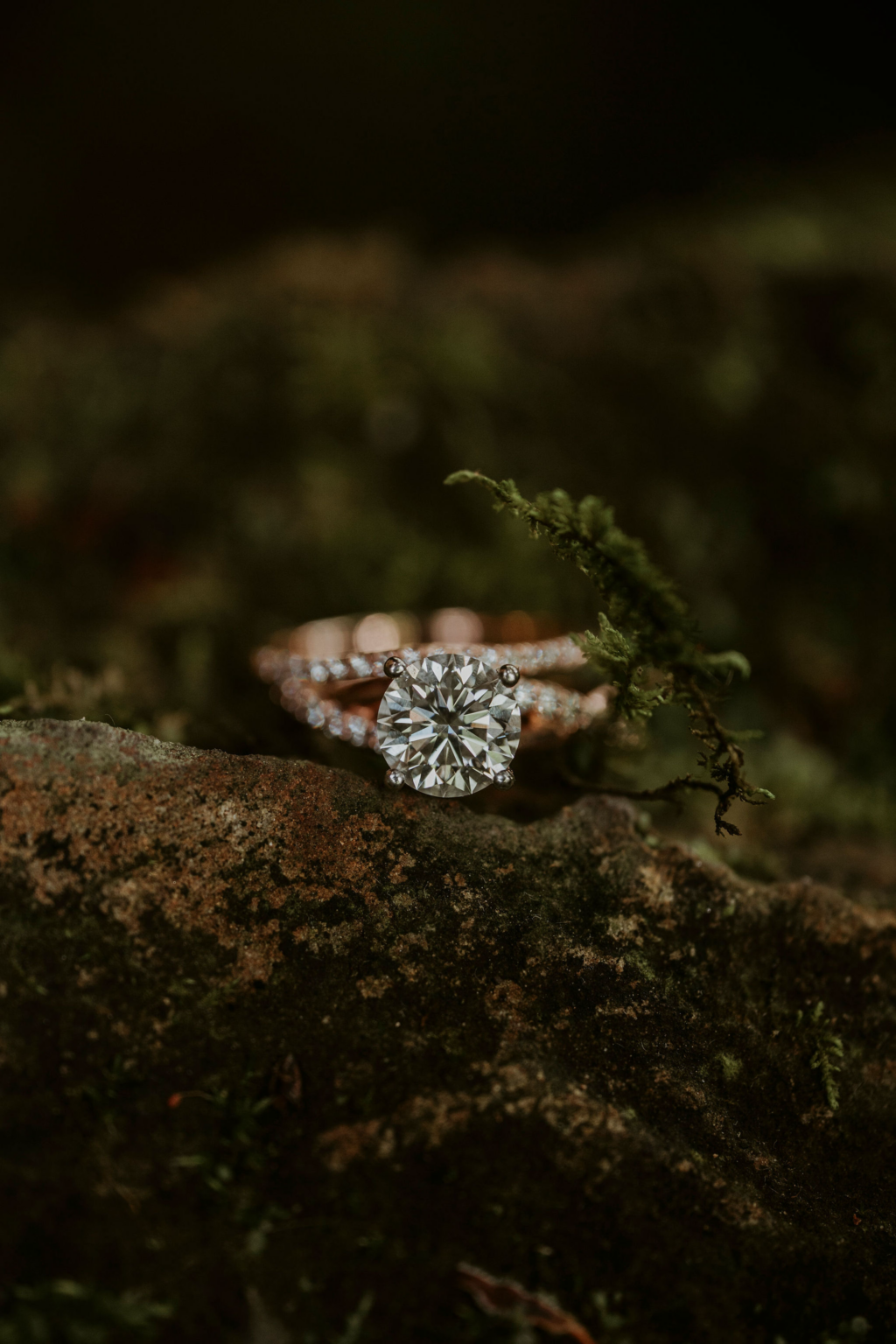 The Mohicans Treehouse Wedding – Kendra + Dean - equilibriumphotos.com